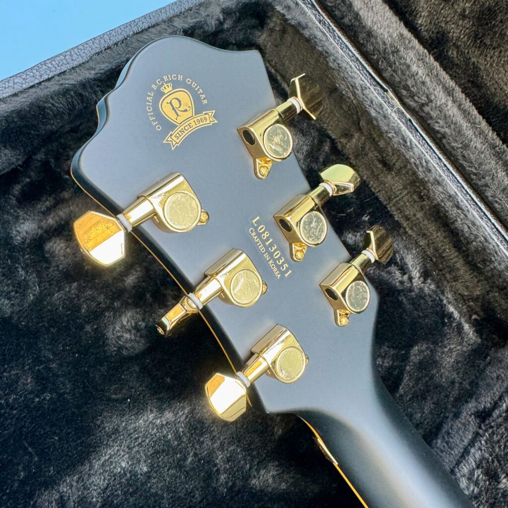 2013 B.C. Rich Mockingbird Pro X Custom Shadow w/Hard case - I Want ...